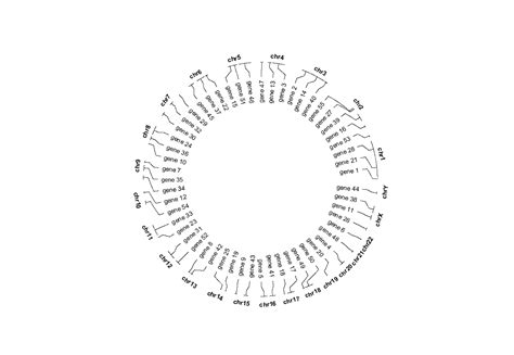 Chapter 5 Geom Genomic Track Layers Ggcirclize Reference Book