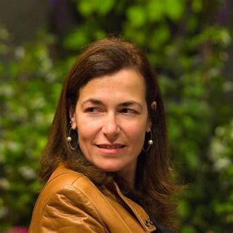 Dest Partners Dest Distributed European School Of Taxonomy