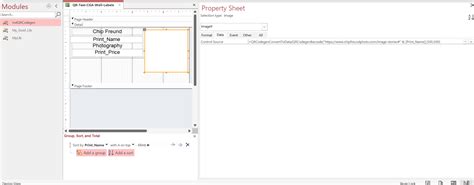 access report control data source can t find public function