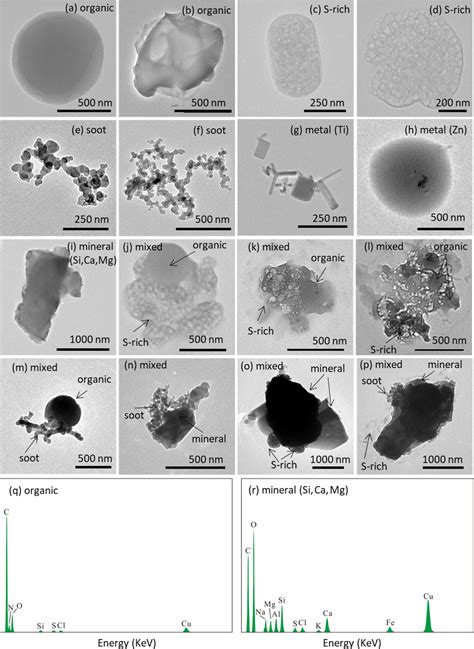 Acp Measurement Report Comparison Of Wintertime Individual Particles At Ground Level And
