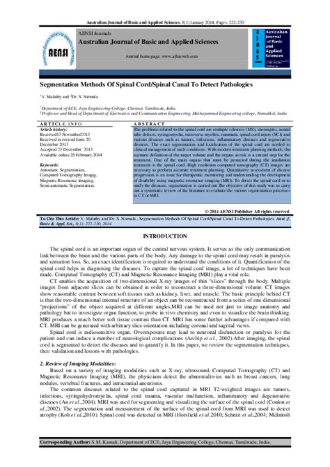 Pdf Segmentation Methods Of Spinal Cordspinal Canal To Detect