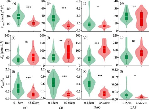 The Kinetics Parameters Vmax And Km And Catalytic Efficiency