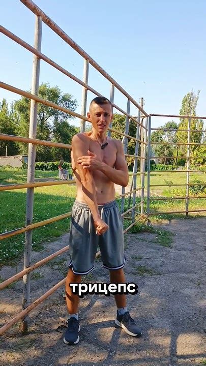 Лучшее упражнение на трицепс Делай где угодно 💪 спорт трицепс тренировка андрейгаплик Youtube