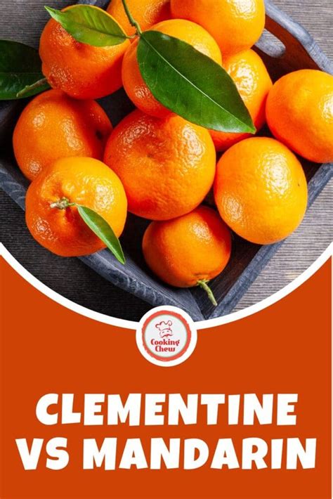 Clementine Vs Mandarin Key Differences