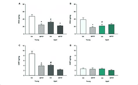 Homovanillic Acid Hva And 3 Methoxytyramine 3 Mt Concentrations