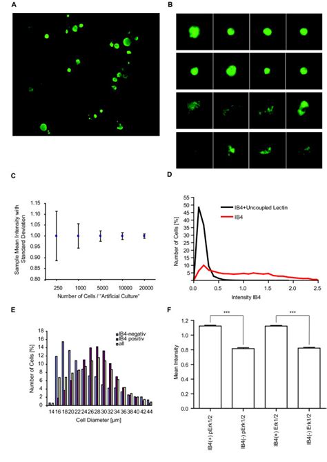 Automatic Drg Neuron Identification And Quantification Of Download