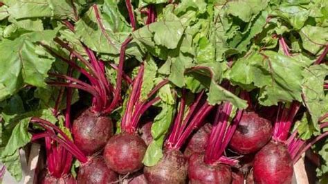 Leon Andre On Linkedin Well Done Both Of You