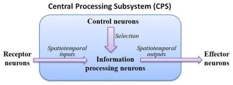 Biomimetics Mdpi On Linkedin Applying An Artificial Neuromolecular System To The Application Of