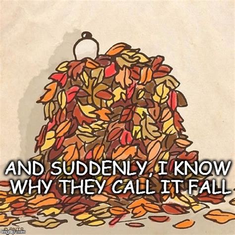 Fall Leaves Memes And S Imgflip