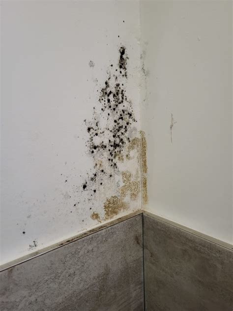 Damp Problems RTC Group