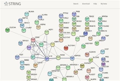 【菜鸟博士】string网站 cytoscape软件制作精美蛋白互作网络图 ppi 知乎