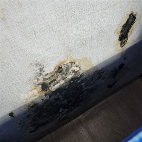 우리집 벽 이거 어떻게 고쳐혹시모르니까 사진주의 인스티즈instiz 익명잡담 카테고리