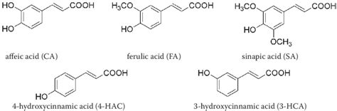 Molecular Structures Of Tested Hydroxycinnamic Acids Download