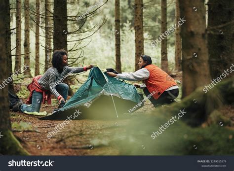 335813 캠핑텐트 이미지 스톡 사진 및 벡터 Shutterstock