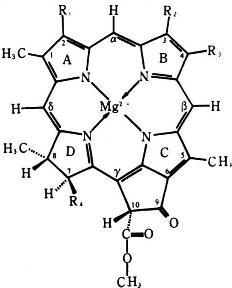 叶绿素 智汇三农