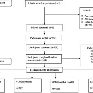 Study Design And Flow Of Baseline Data Collection N 344 PA Download Scientific Diagram