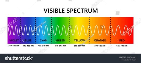 Visible Light Spectrum Optical Light Wavelength Stock Vector Royalty