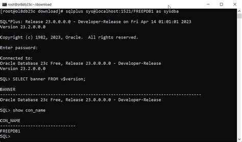 Pl Sql Argentina Instalando Oracle Database 23c Free Developer