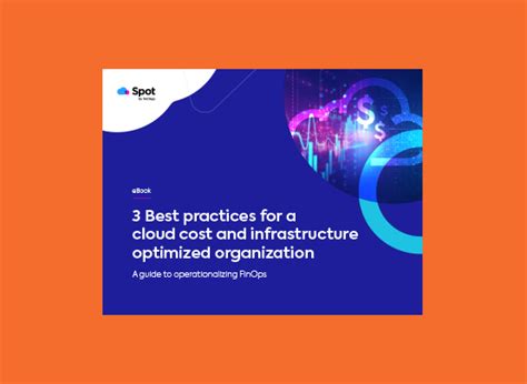 3 Best Practices For A Cloud Cost And Infrastructure Optimized Organization Livingsights