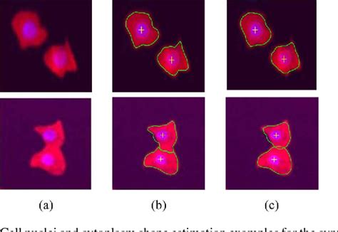 figure 10 from cell nuclei and cytoplasm joint segmentation using the