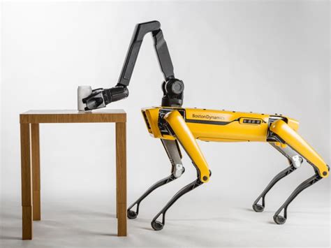 Boston Dynamics Preparing To Launch First Robot Spot To Consumers