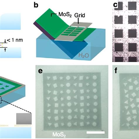 Fabrication Of Monolayer Mos 2 Solids On Water Surface A Schematic