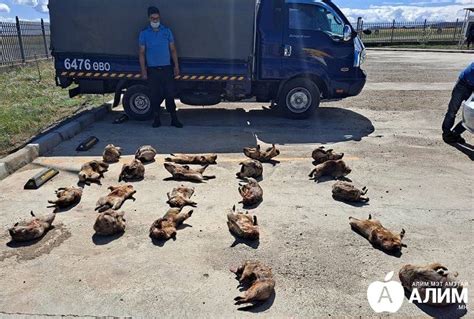 22 тарвага агнасан зөрчлийг шалгаж 7660000 төгрөг нөхөн төлүүлэв