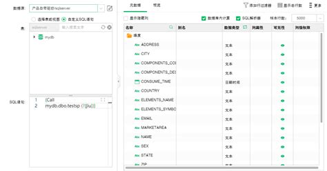 创建数据集 SQL数据集 使用存储过程创建SQL数据集 SQL SERVER数据库