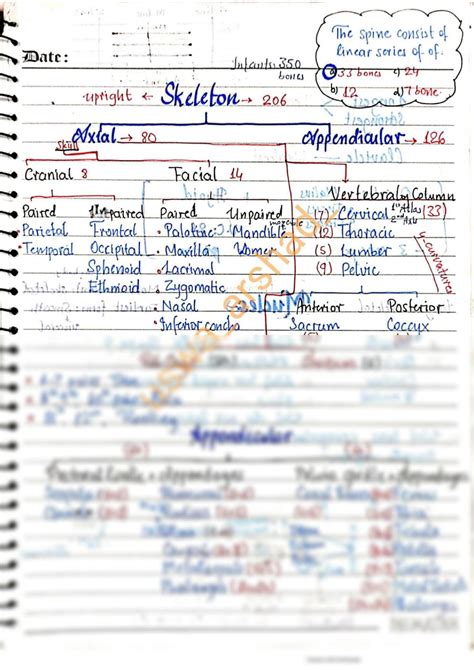 SOLUTION Skeletal System Complete Chapter Handwritten Notes With Explanation Studypool