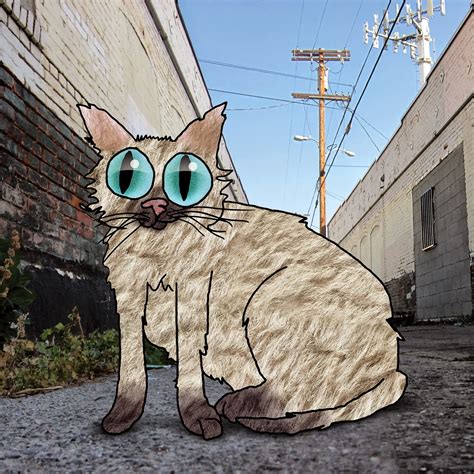 Joel Fur Real David Yow And The Art Of Cats