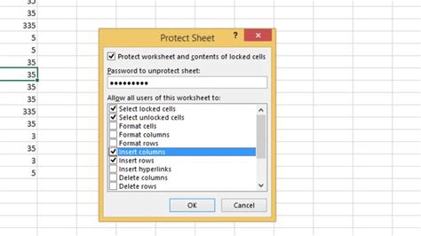excel chart editor project sheet dialog for protection