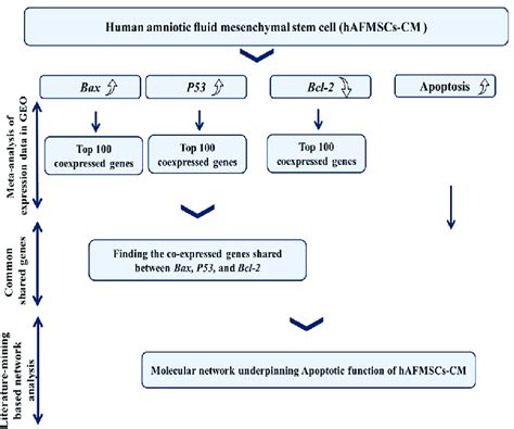 Bioinformatics Pipeline Employed In This Study Download Scientific