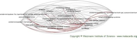 Ectodermal Dysplasia 1 Hypohidrotic X Linked Disease Malacards Research Articles Drugs