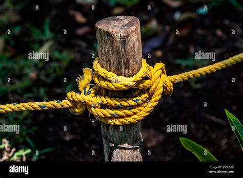 Yellow Rope Tied Into Knots To A Wooden Pole Stock Photo Alamy