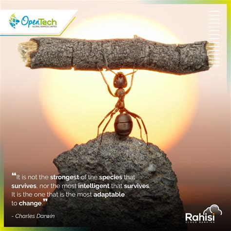 Opportunities Security Scalability Collaboration Analytics Cloud Banking Microfinance