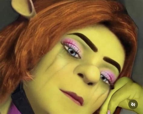 She Shrek Blank Template Imgflip She Shrek Blank Template Imgflip