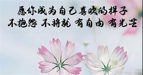 【stm32】单片机adc原理详解及应用编程 stm32adc工作原理 csdn博客