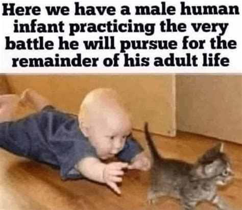 Sex Reference 😳😳👨‍🦽👨‍🦽🎗🎰 R2000comments