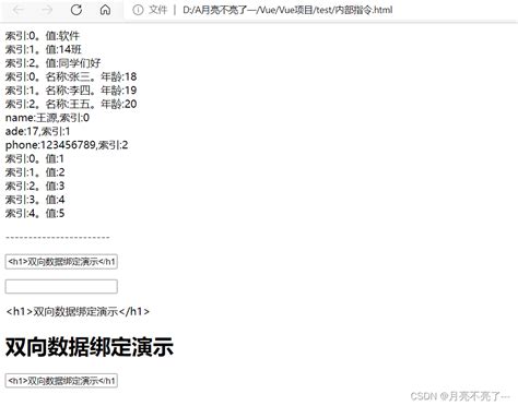 Vuejs实例解析：双向数据绑定与组件实战 Csdn博客