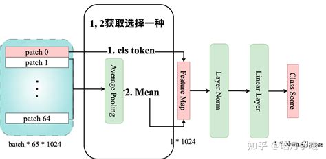 ViT模型计算流程图解 知乎