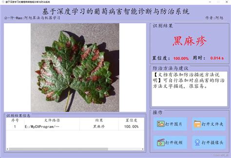 基于yolov8深度学习的葡萄病害智能诊断与防治系统【python源码pyqt5界面数据集训练代码】深度学习实战 阿里云开发者社区