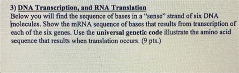Solved 3 DNA Transcription And RNA Translation Below You Chegg Com