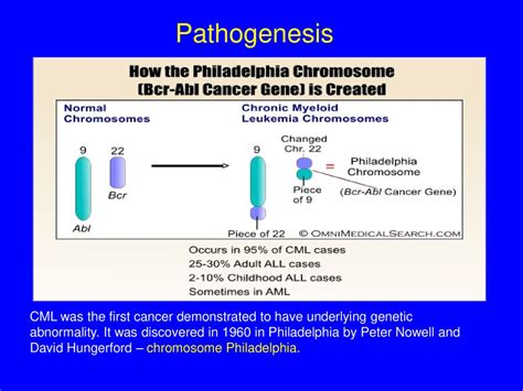 Myeloproliferative Neoplasms Who Ppt Download