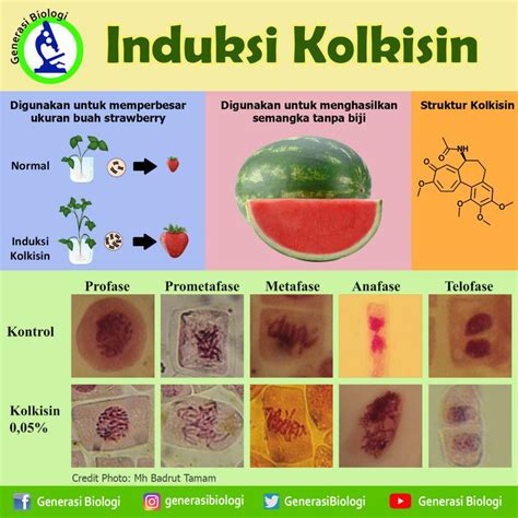 Mutasi Genetik Belajar Asyik