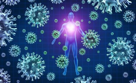 Identifying The Next Deadly Virus Global Health Press