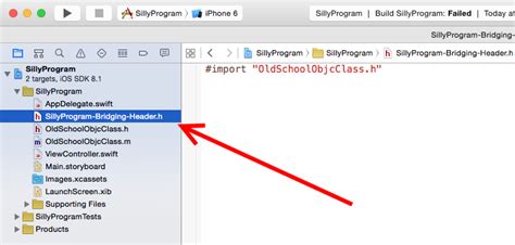 ios Xcode MyProjectName Bridging Header h가 존재하지 않습니다 리뷰나라
