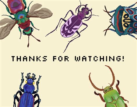 Pixel Art Bugs Behance