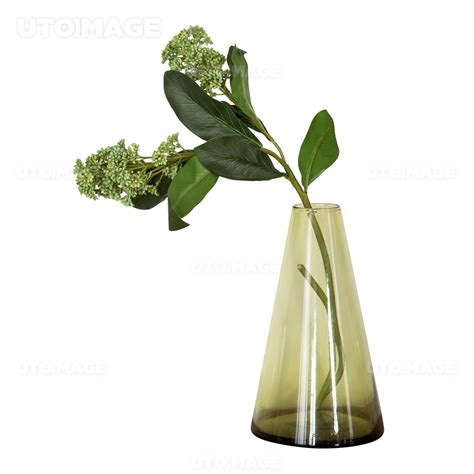 녹색 유리화병에 꽃 유토이미지 상세페이지 베이직샵 20498124