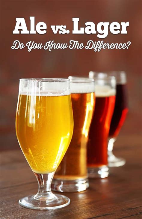 Ale Vs Lager The Differences Between Both Types Of Beer Beer Lager American Beer