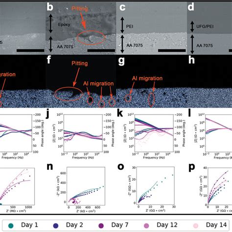 Electrochemical Processes Interface Characterization And Corrosion